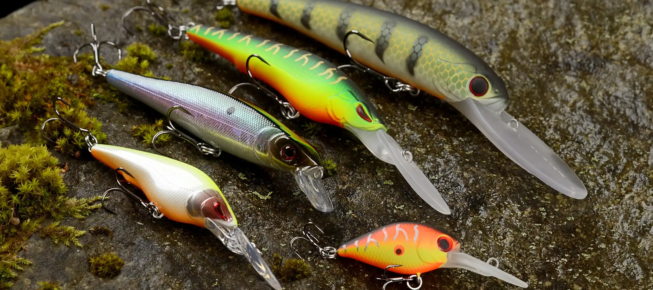 Hochwertige Hardbaits für erfolgreiches Raubfischangeln | Angeljoe Shop